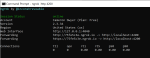 Using ngrok to get a public HTTPS address for a local server already ...